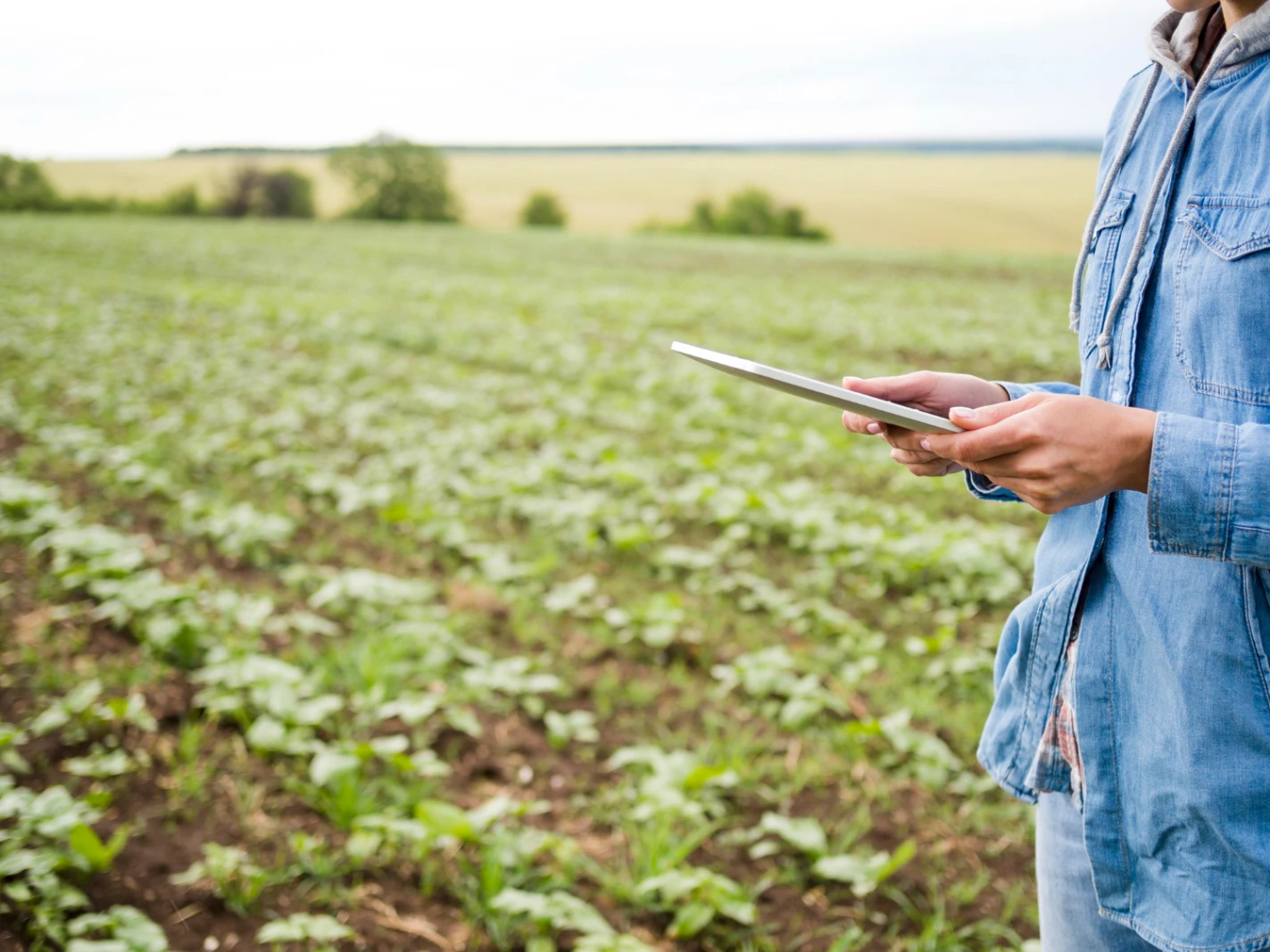 Real-Time Crop Monitoring and Data-Driven Farm Management - Xpedite Tech